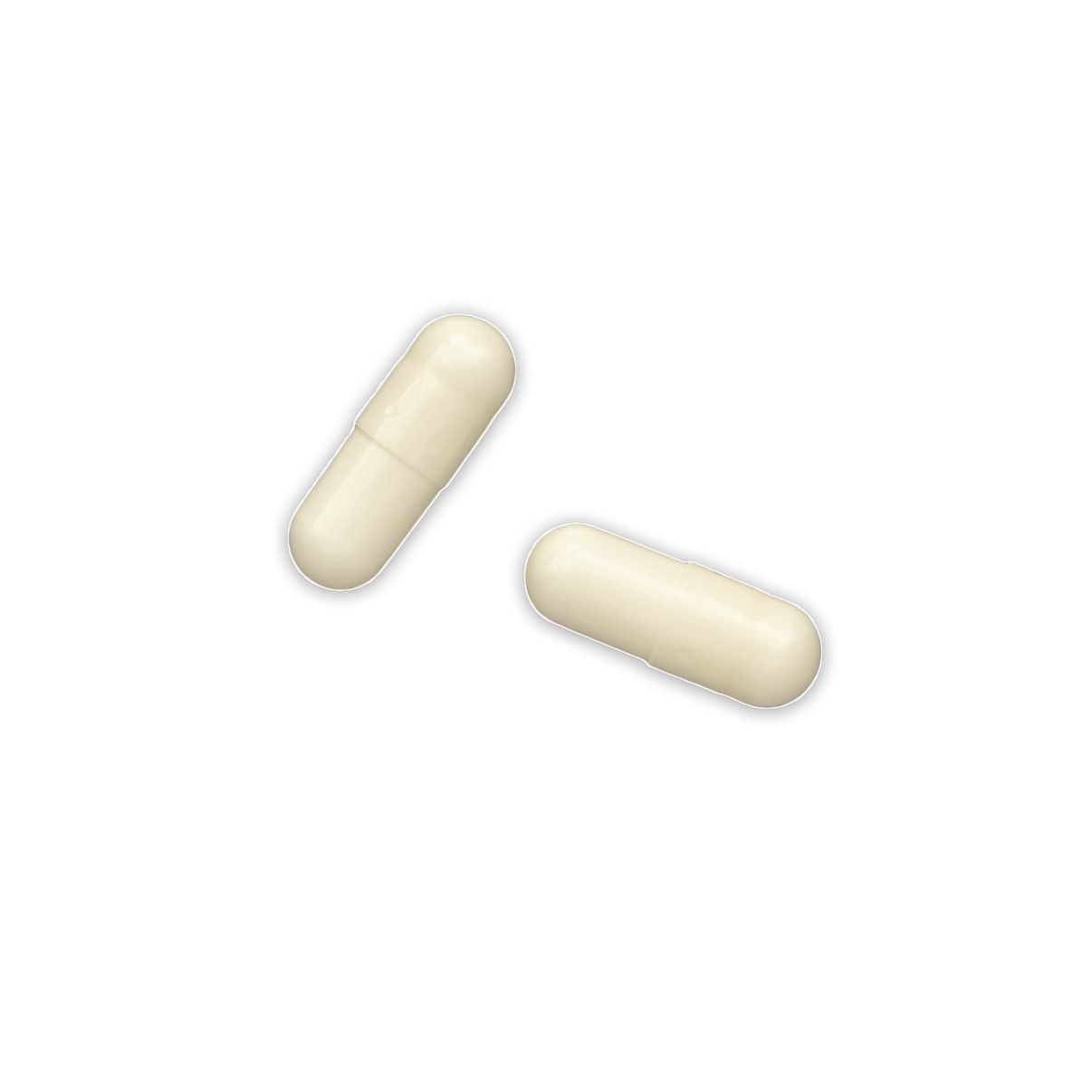 メトセラ N.M.N. – elife公式ショップ